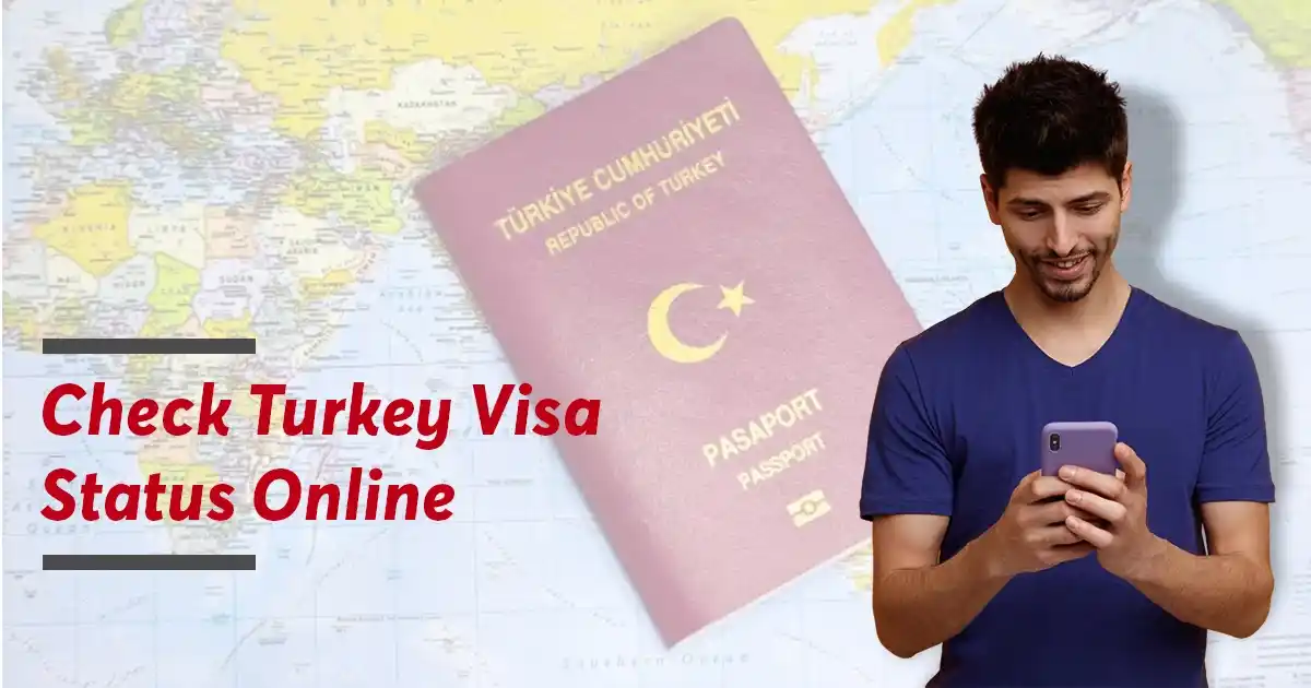 How to Check Turkey Visa Status Online